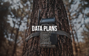 The SPYPOINT App - spypoint.info